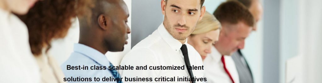 Professional Services - GSS Infotech Limited