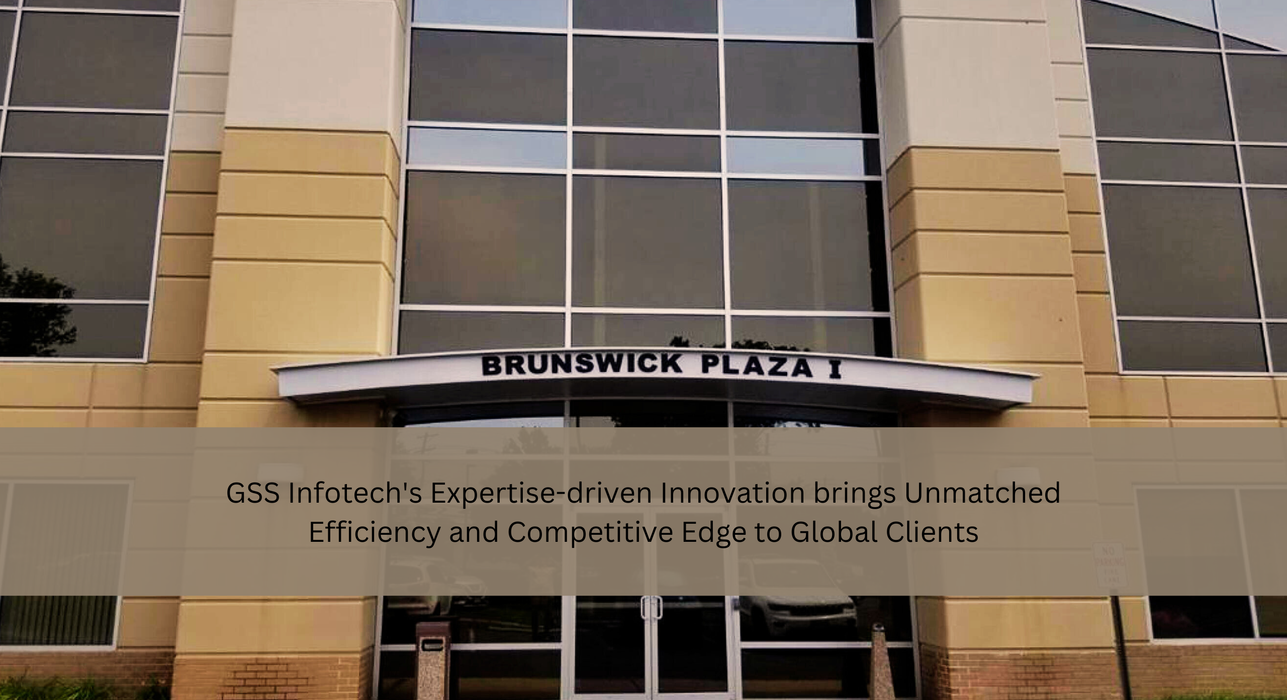 GSS Infotech - Consulting | Solutions | Legal Support